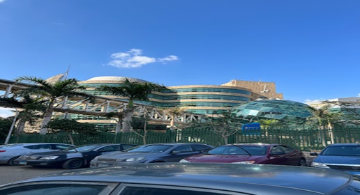 Children’s Cancer Hospital Egypt 57357, Cairo, Doctor Lists, Book ...